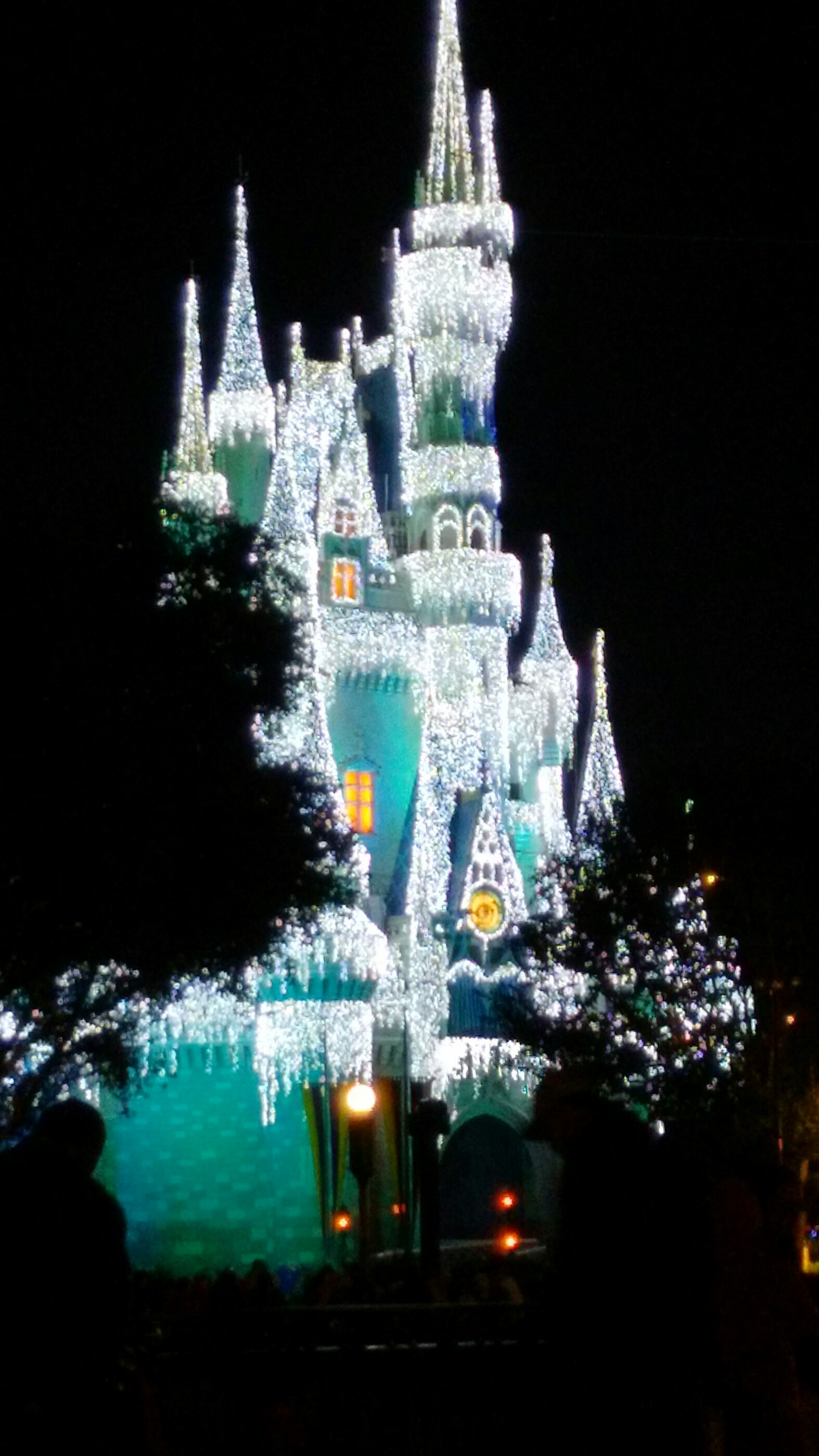 Disney Honeymoon Tips